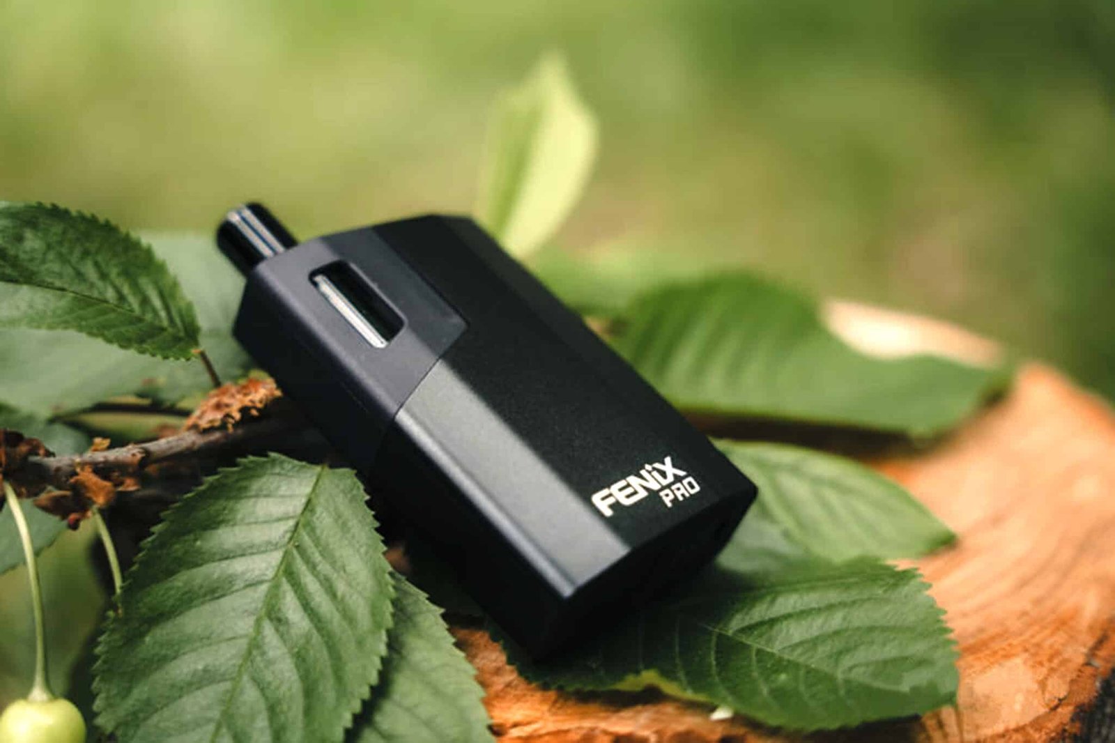 Fenix Pro รุ่นหรู เท่ห์ และดูพรีเมี่ยม | Slowlife 420